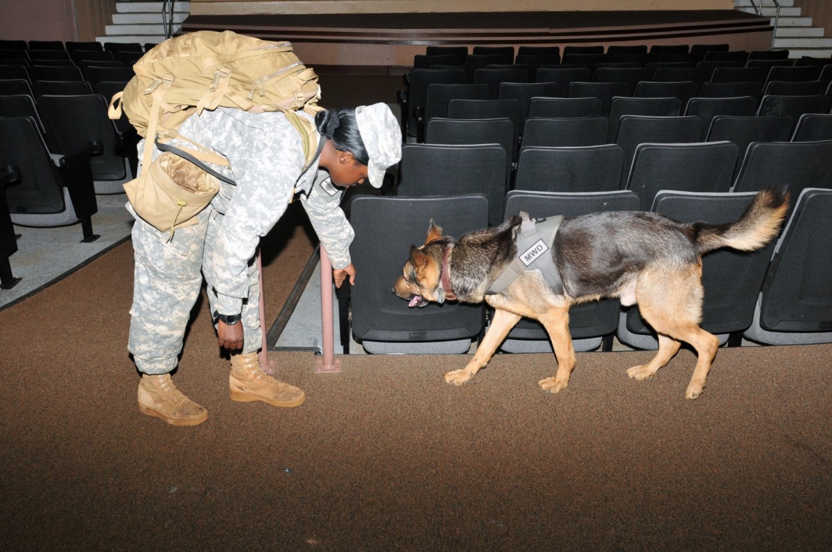 MWD teams enhance readiness through certification | Article | The ...