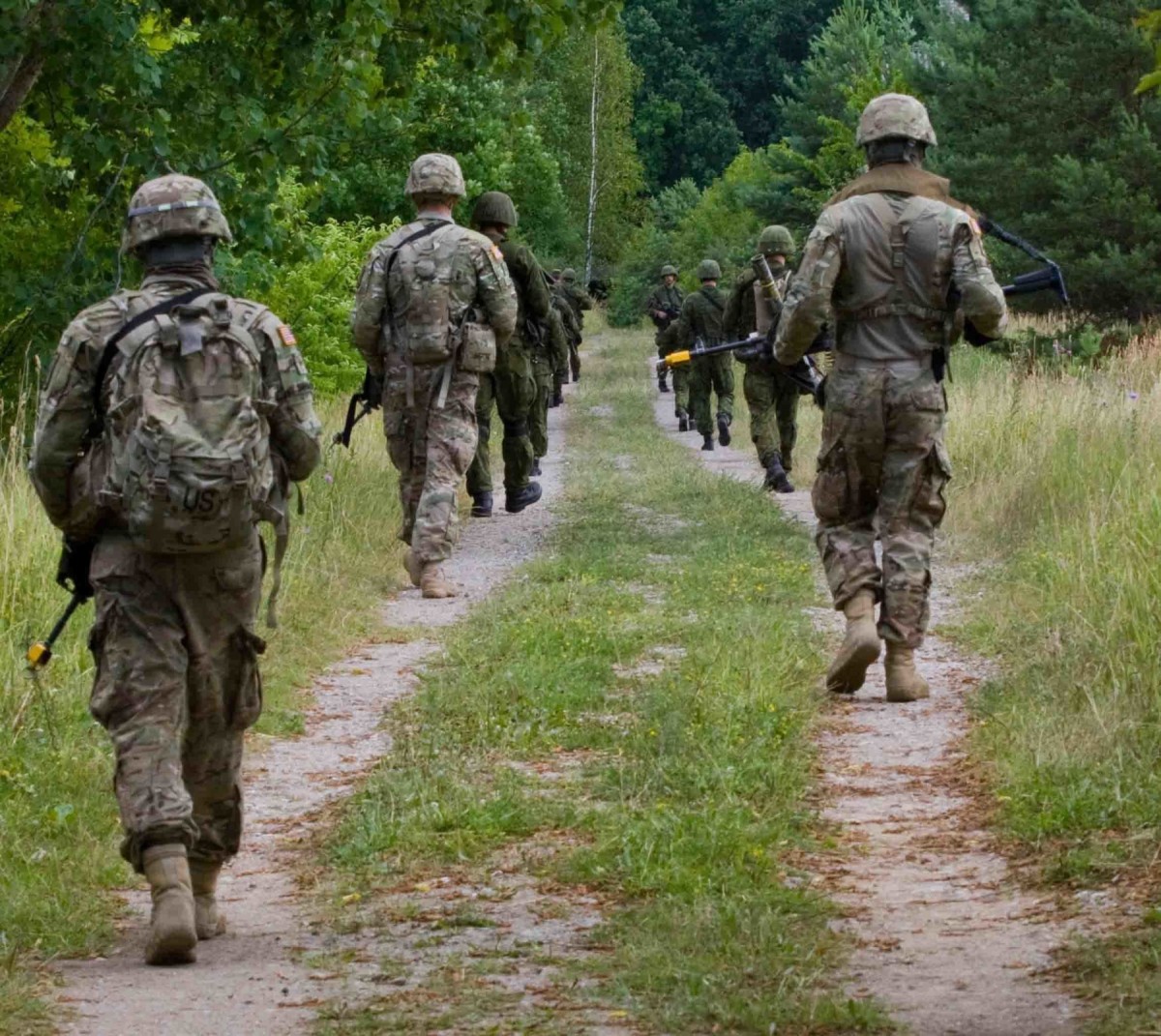 Joining forces: Bilateral training conducted in Lithuania | Article ...