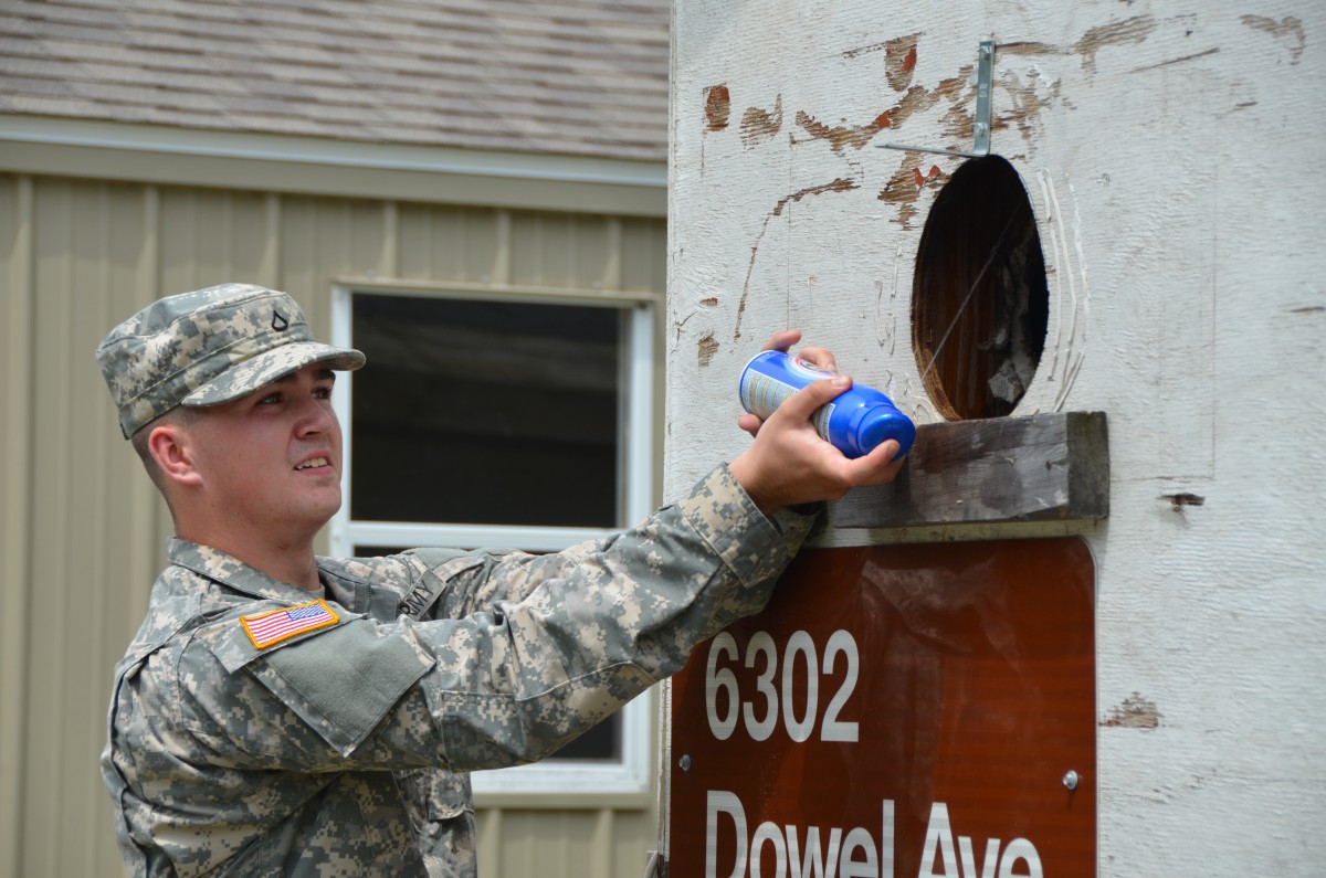 Stinging insects can put an ouch in summer fun | Article | The United ...