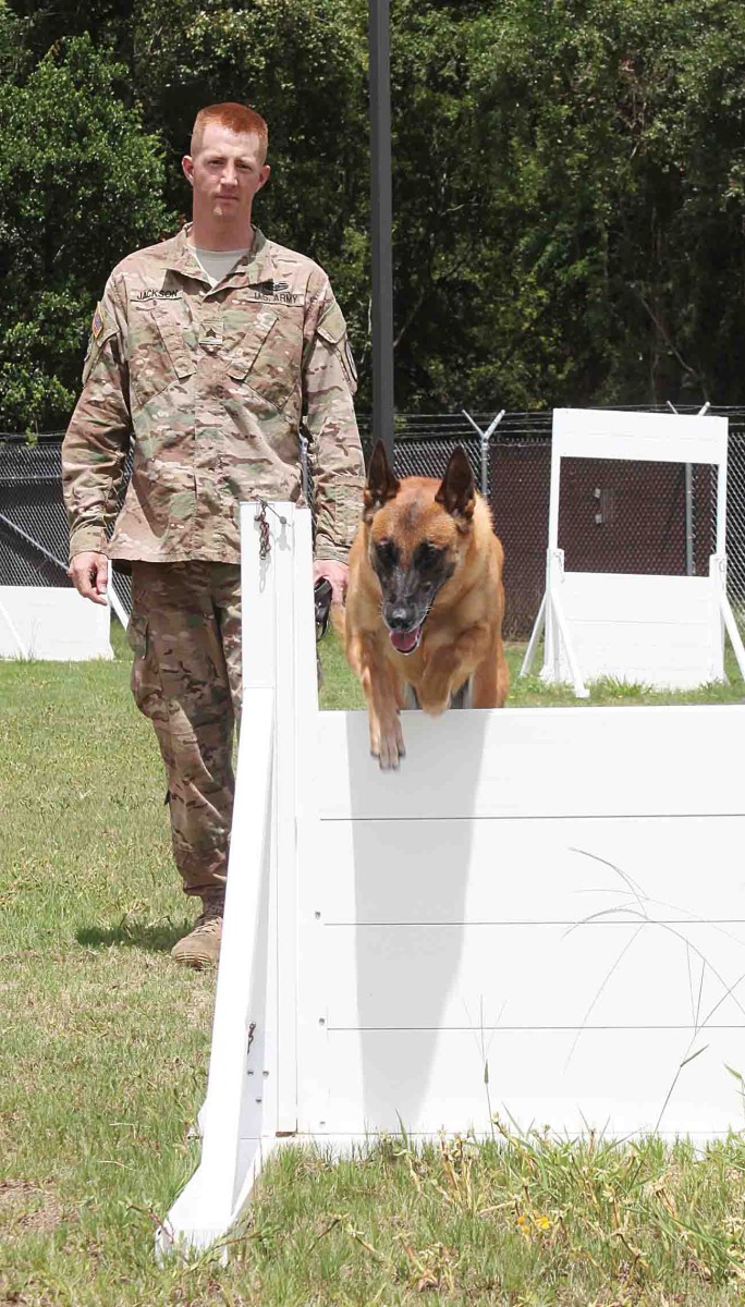 Benning MWD team wins 'Top Dog' | Article | The United States Army