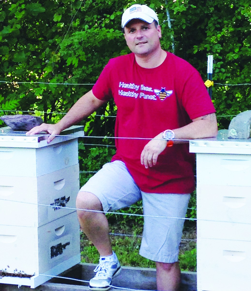 Backyard beekeeper talks about life in the hive | Article | The United ...
