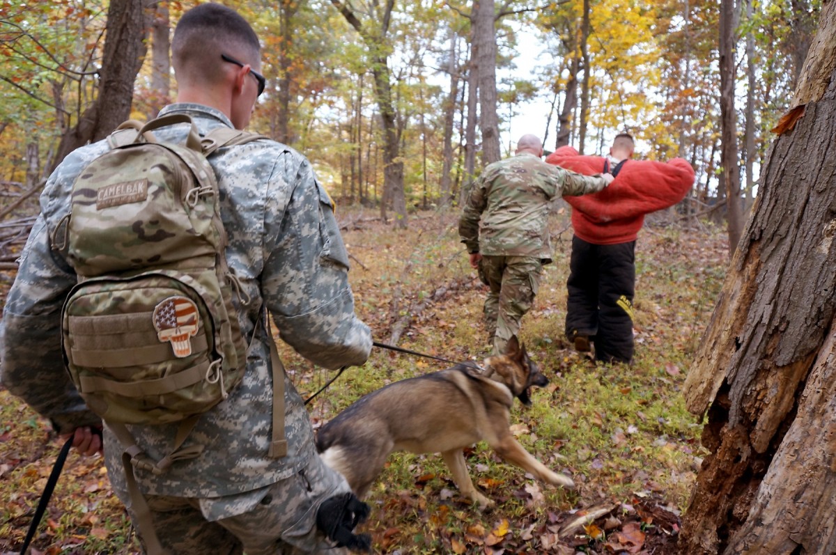 Man's best friend, crime's worst enemy | Article | The United States Army