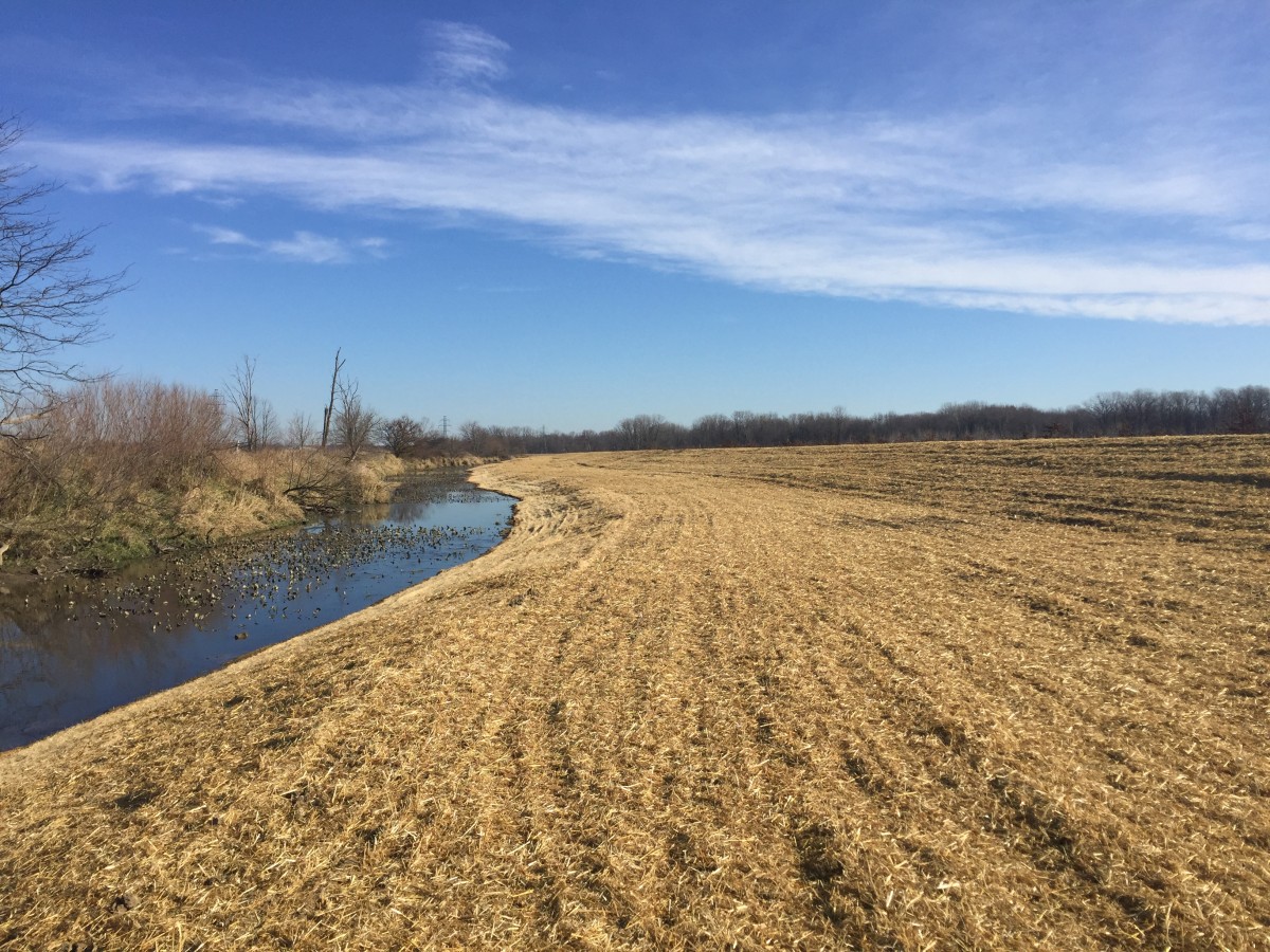 Berm helps prevent Asian Carp migration at Eagle Marsh, Ind. | Article ...
