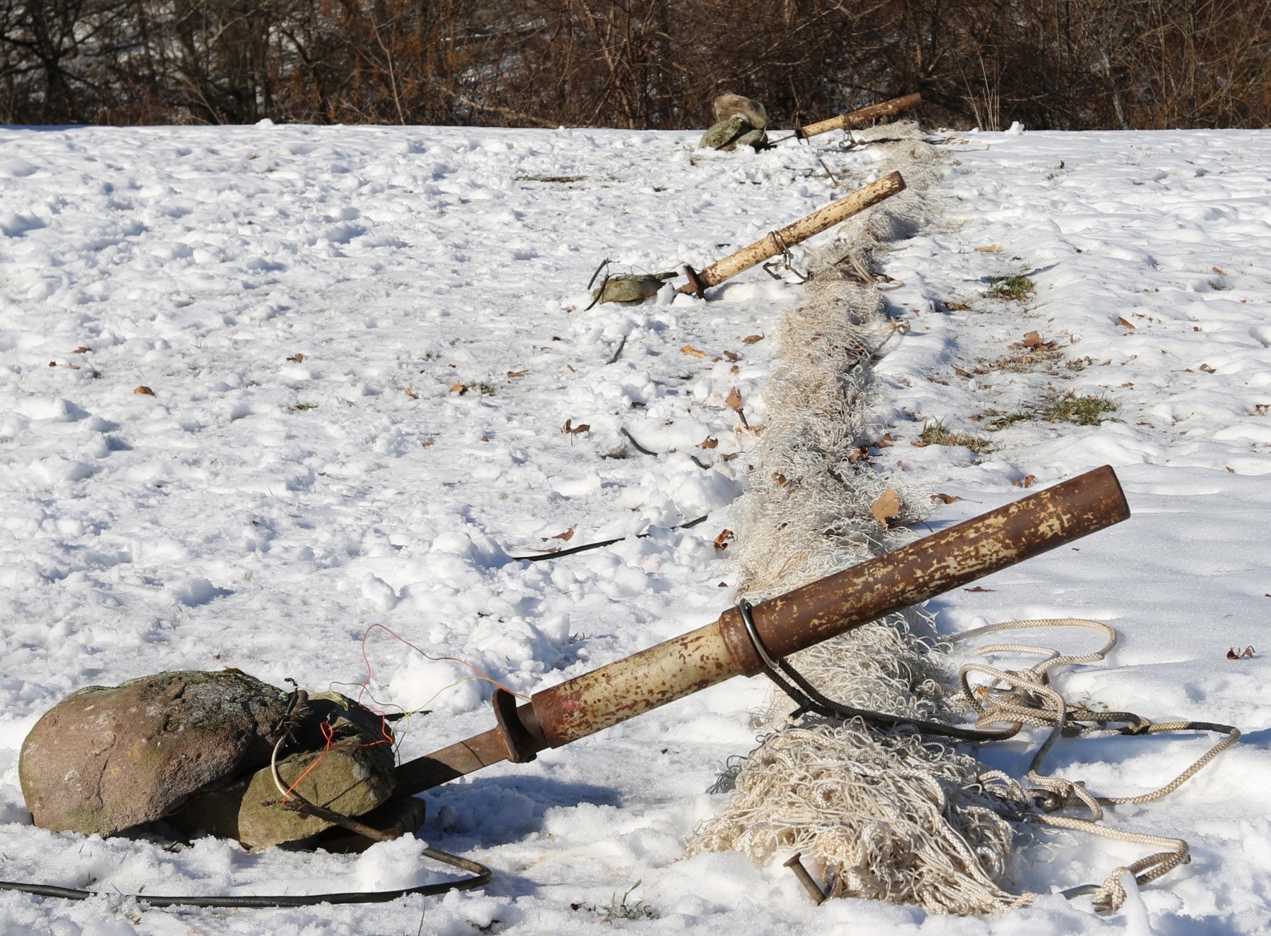 Turkey Ambush: NY National Guard teams up with state to track turkeys ...