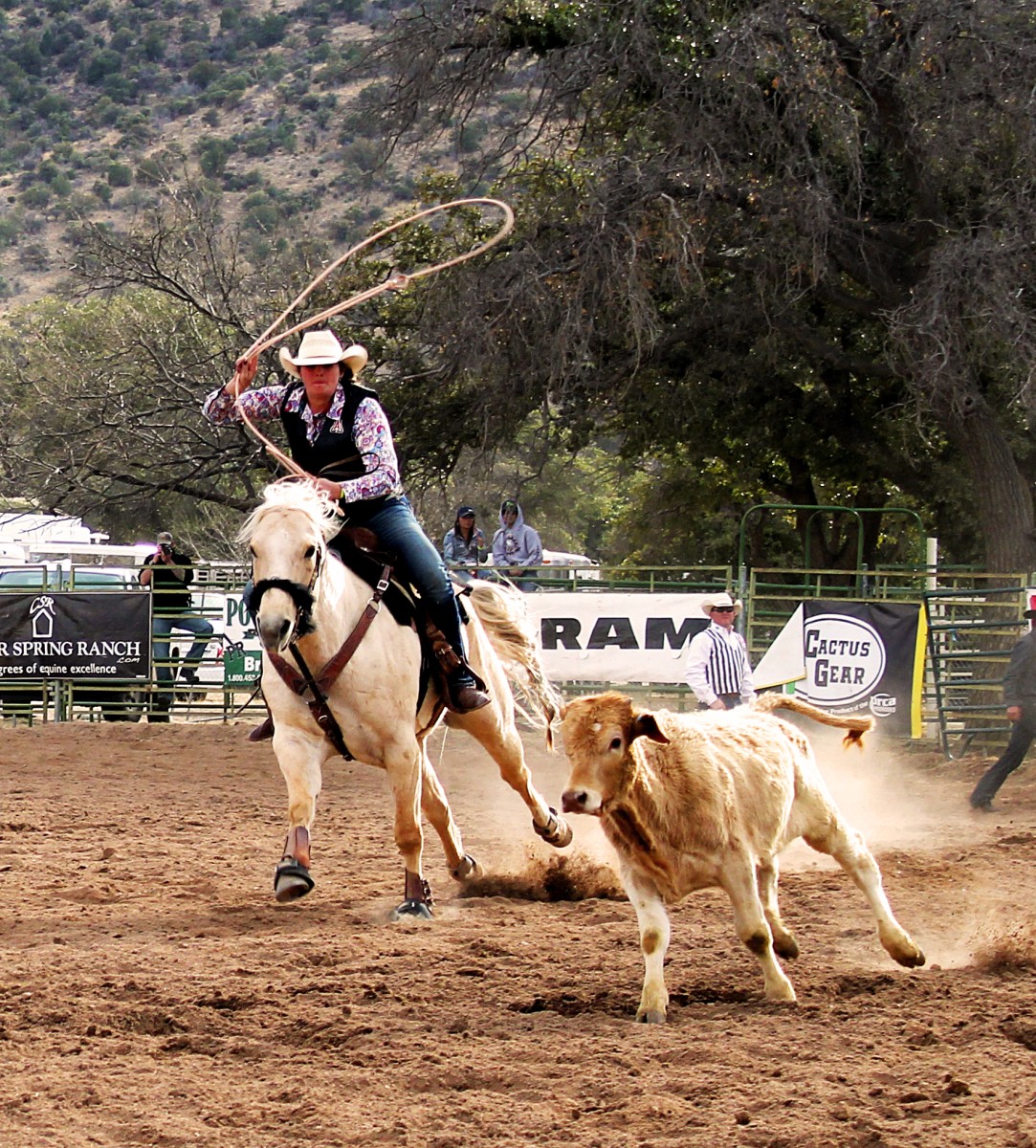 College, riding club bring rodeo to Fort Huachuca | Article | The ...