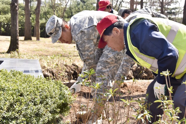 Planting trees for world peace, friendship | Article | The United ...