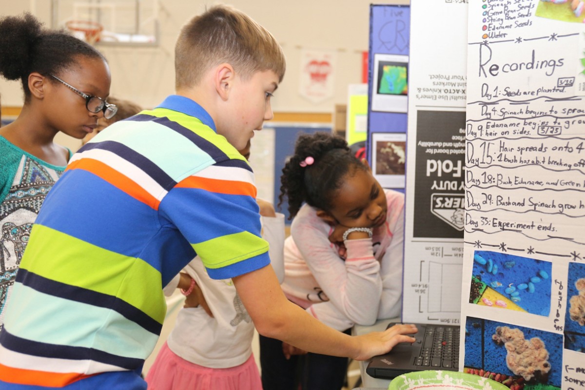 Annual school science fair impresses judges | Article | The United ...