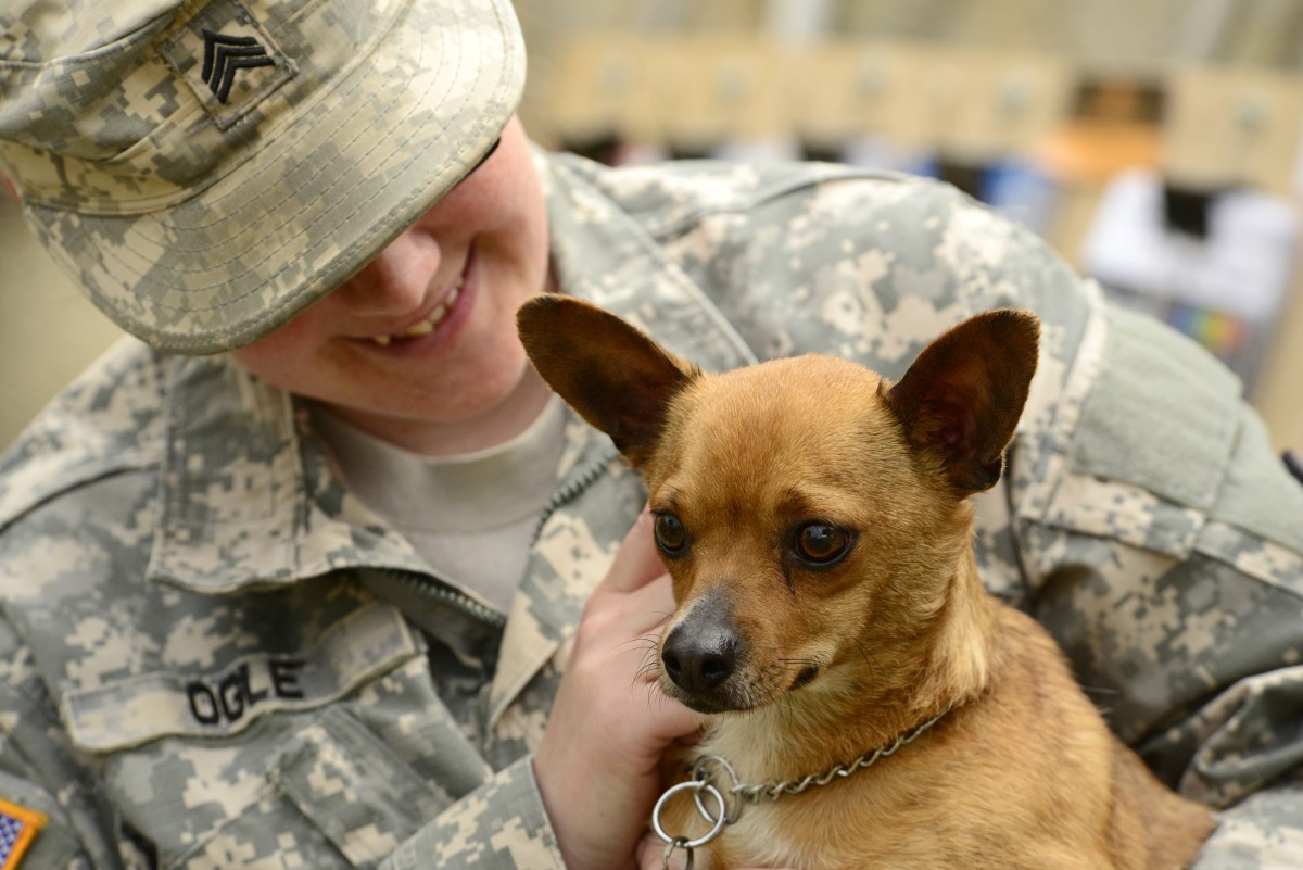 Furry friends focus of pet show | Article | The United States Army