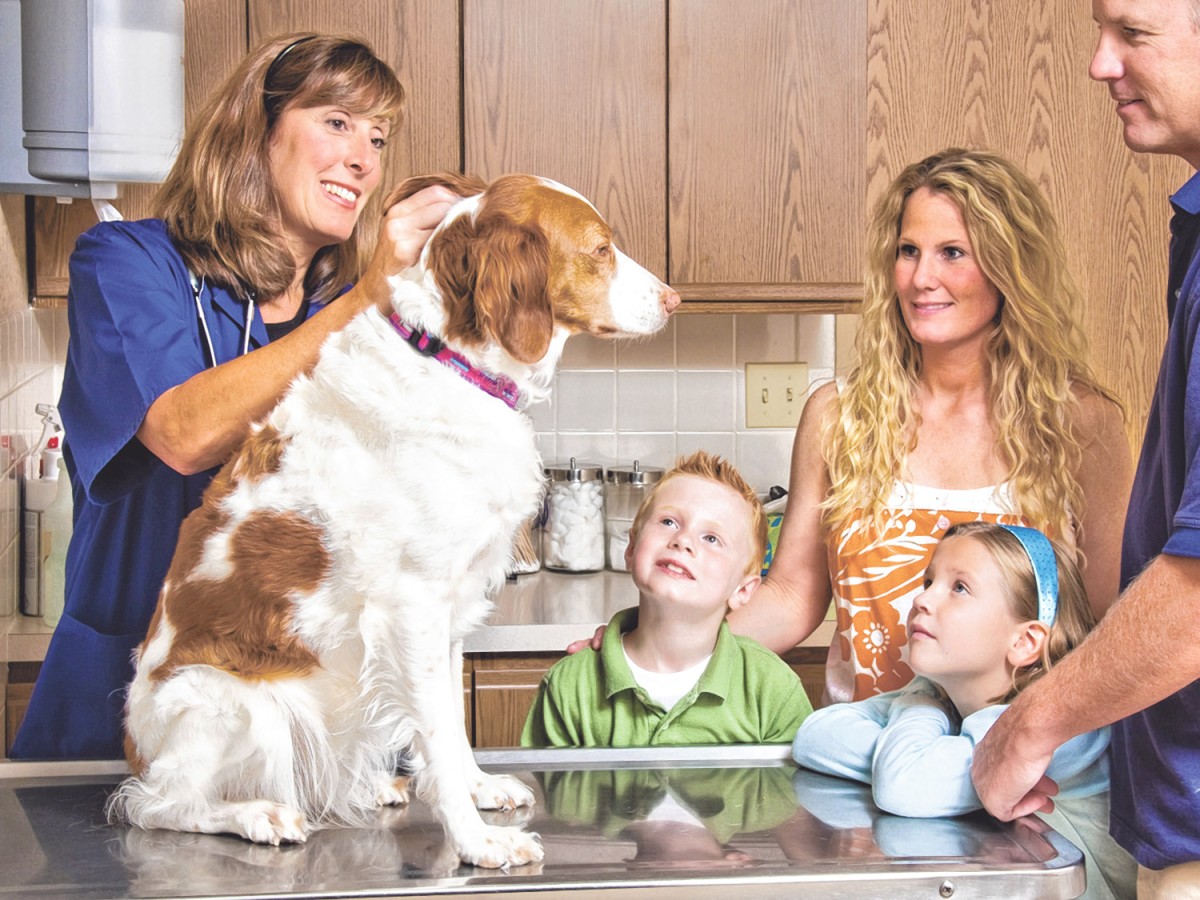 In the Works: What to expect when pets PCS | Article | The United ...