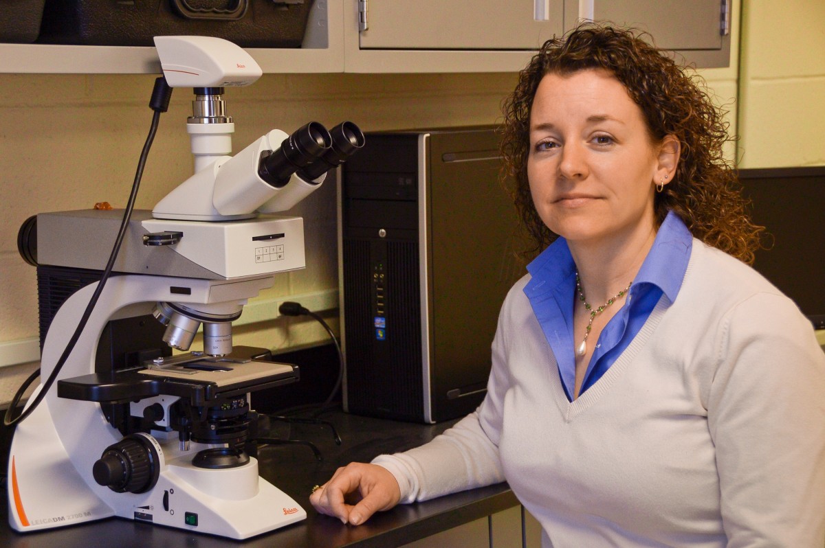 American Chemical Society selects Army scientist as fellow | Article ...