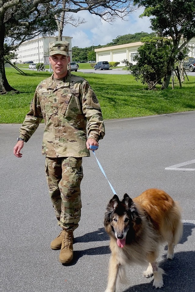 CSM and Collie complete PT together in Okinawa | Article | The United ...