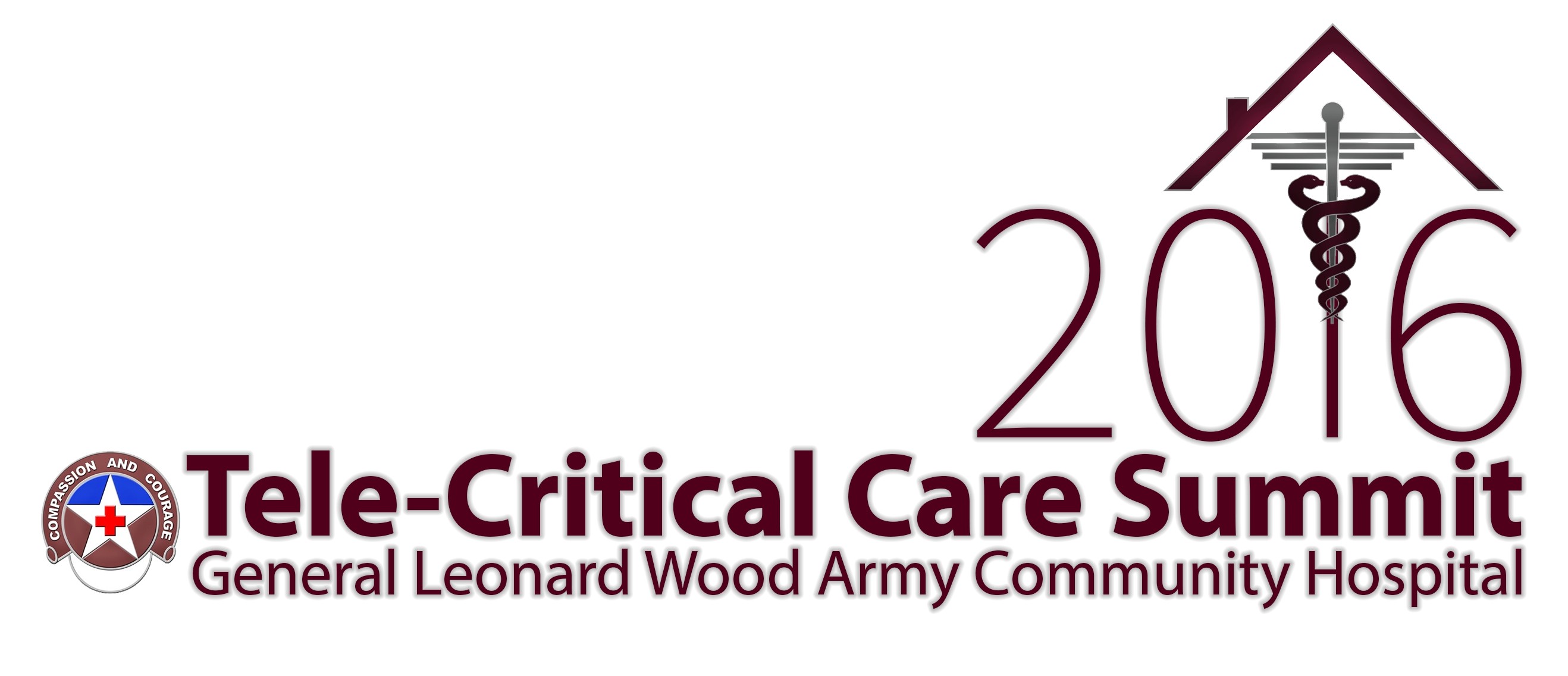 GLWACH Tele-Critical Care Summit discusses way forward | Article | The ...