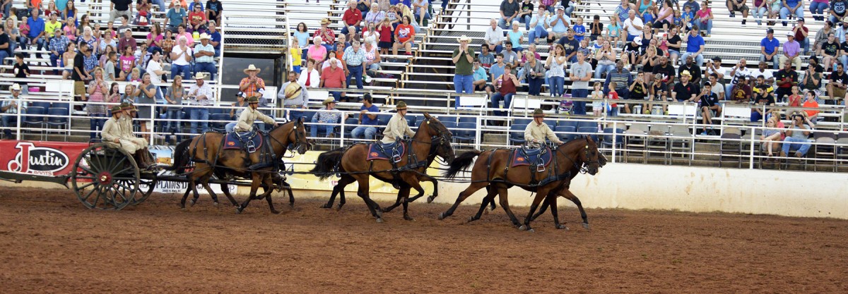 Artillery Half Section wows rodeo fans | Article | The United States Army