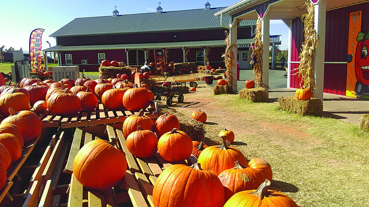 Okie Bucket List: Orr Family Farm offers corn mazes, games | Article ...