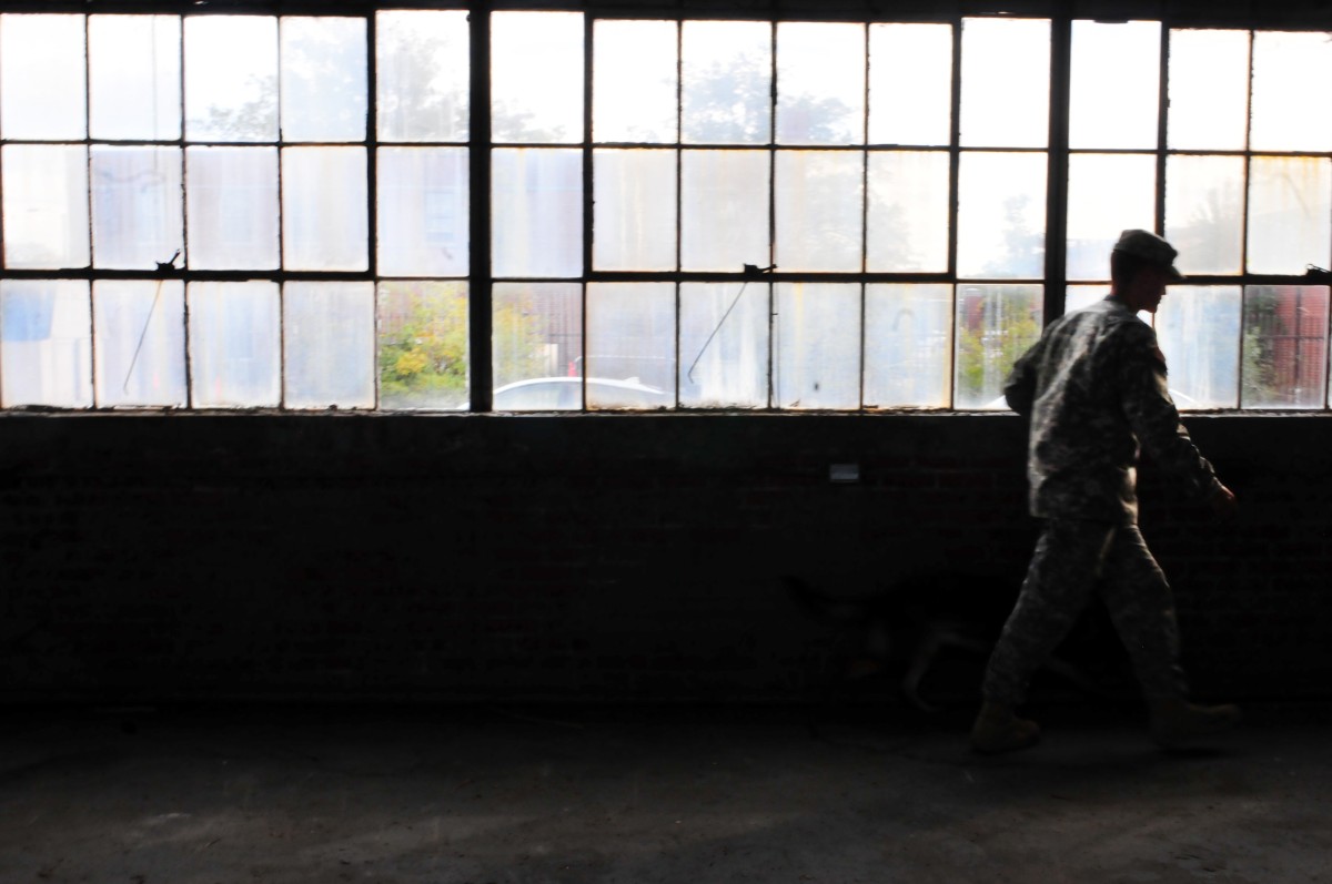 503rd Military Police Battalion Conducts Military Working Dog Training ...
