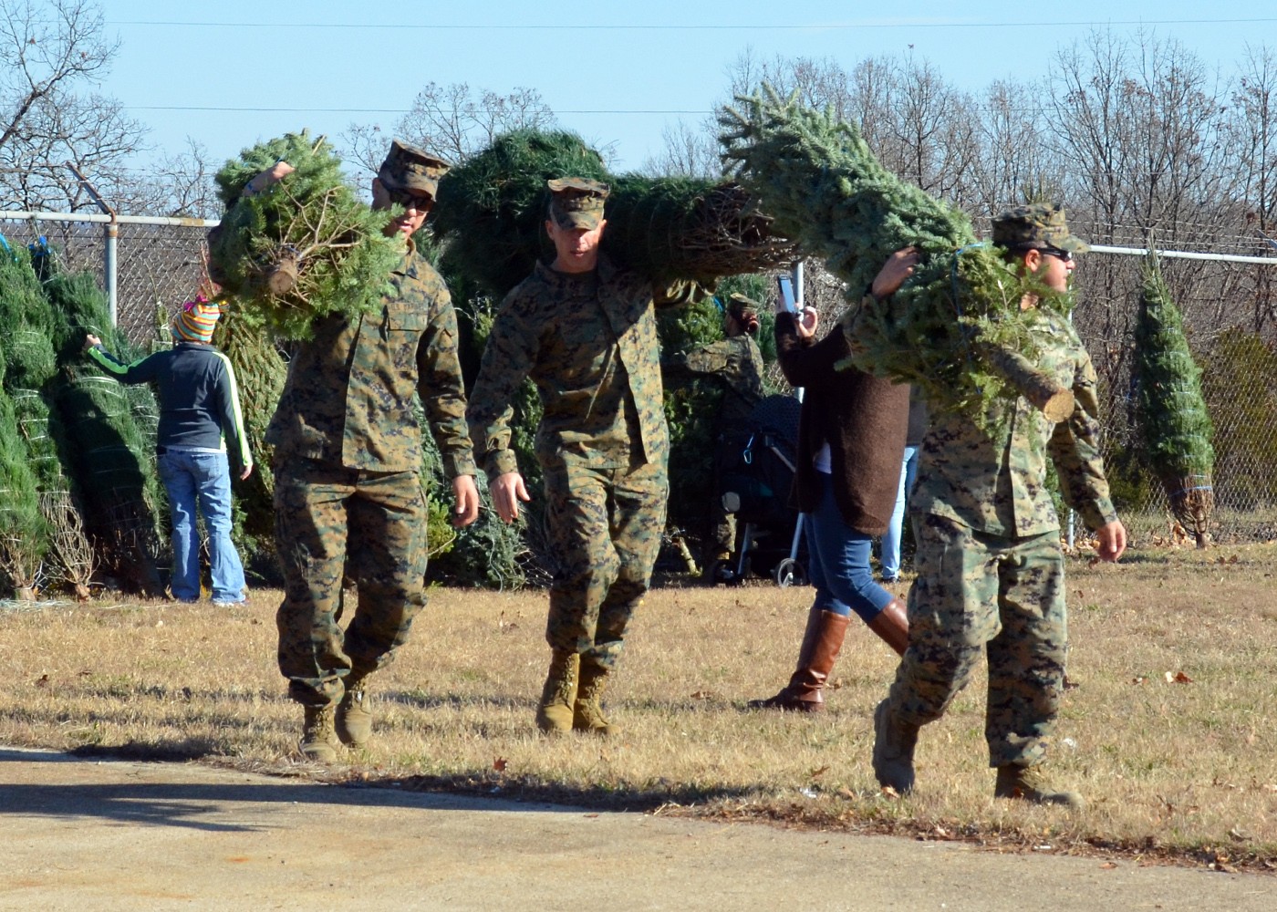 Trees for Troops at Fort Leonard Wood | Article | The United States Army