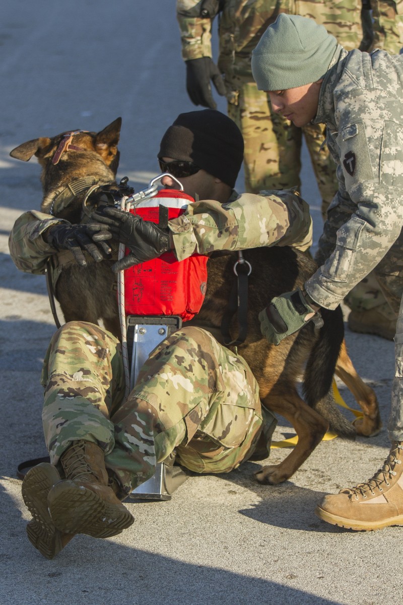 MWD Helicopter Familiarization Training | Article | The United States Army
