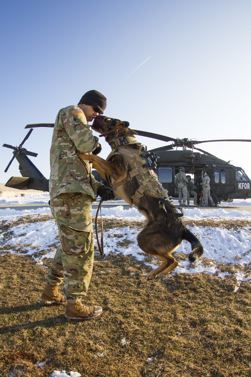 Who's a Good Boy? | Article | The United States Army