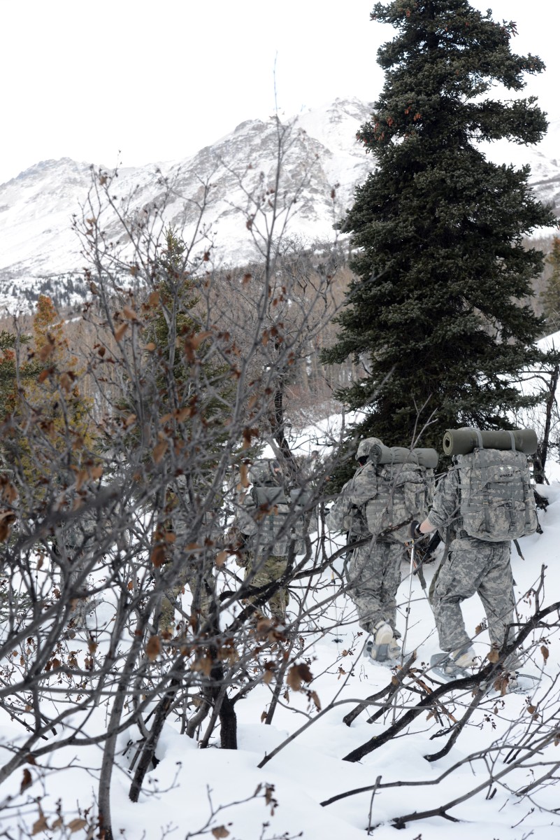 Soldiers take on biathlon, shooting in harsh arctic conditions ...