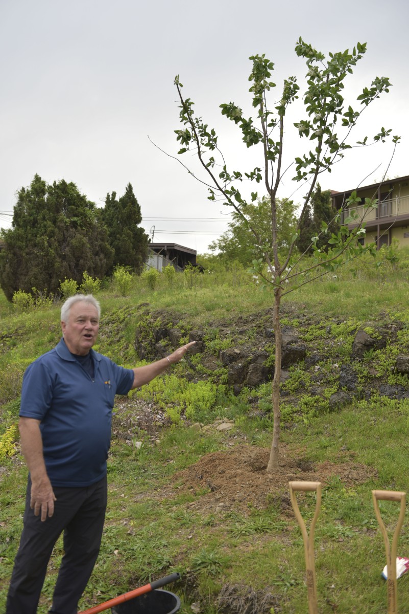 Welcome to USAG Daegu! | Article | The United States Army