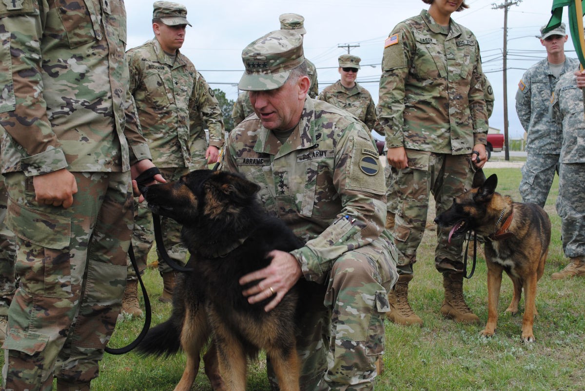 Fort Hood working dog detachment earns Eagle Award | Article | The ...