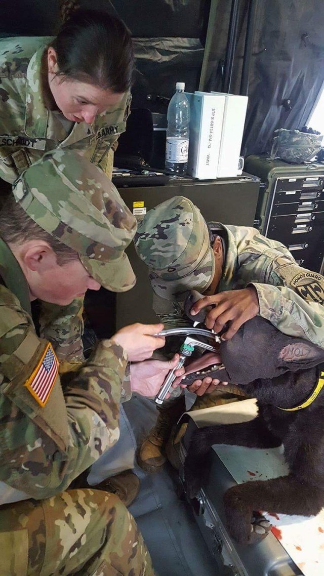 Public Health Activity Rheinland-Pfalz Conducts Emergency Theater ...