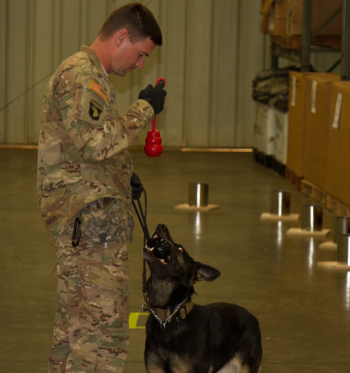 The Scent of Safety | Article | The United States Army