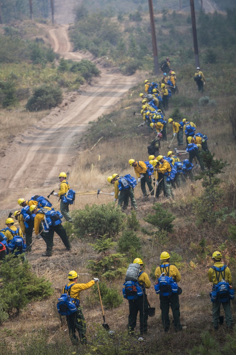 Fireline Construction | Article | The United States Army