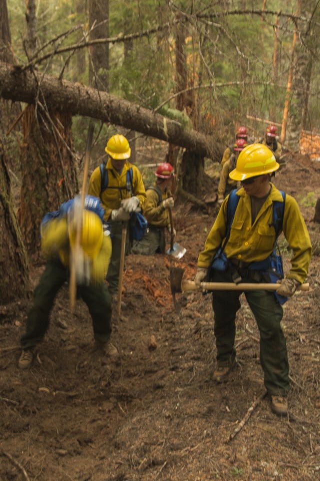 Soldiers Sever Tree Roots | Article | The United States Army