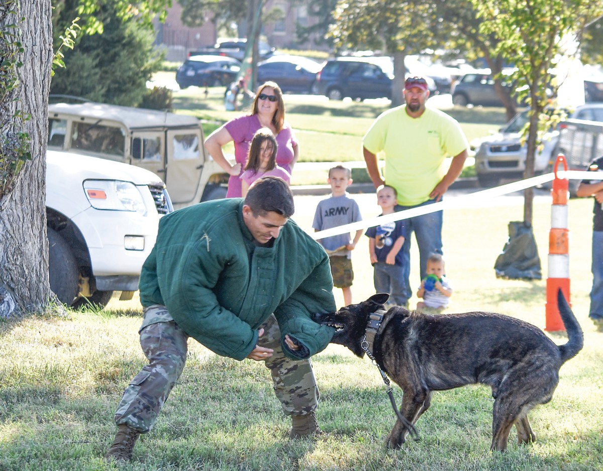 Fort Riley, 97th MP Battalion working dogs continue to fascinate ...