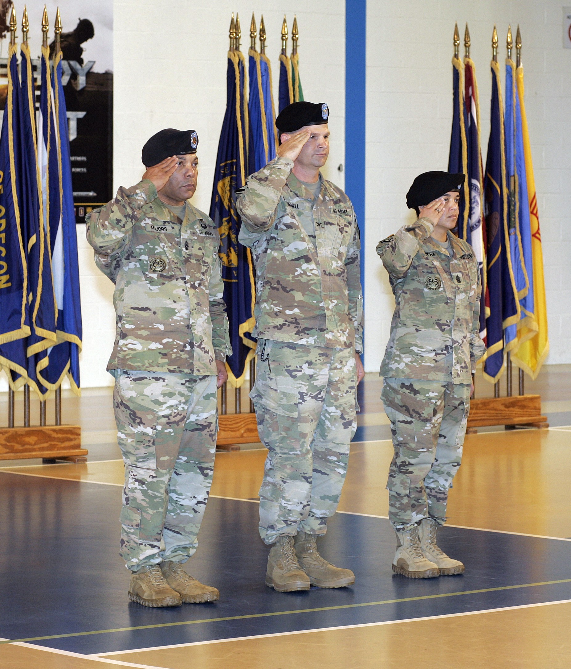 CSM Pitre assumes garrison responsibility at Benelux | Article | The ... CSM Pitre assumes garrison responsibility at Benelux | Article | The ...