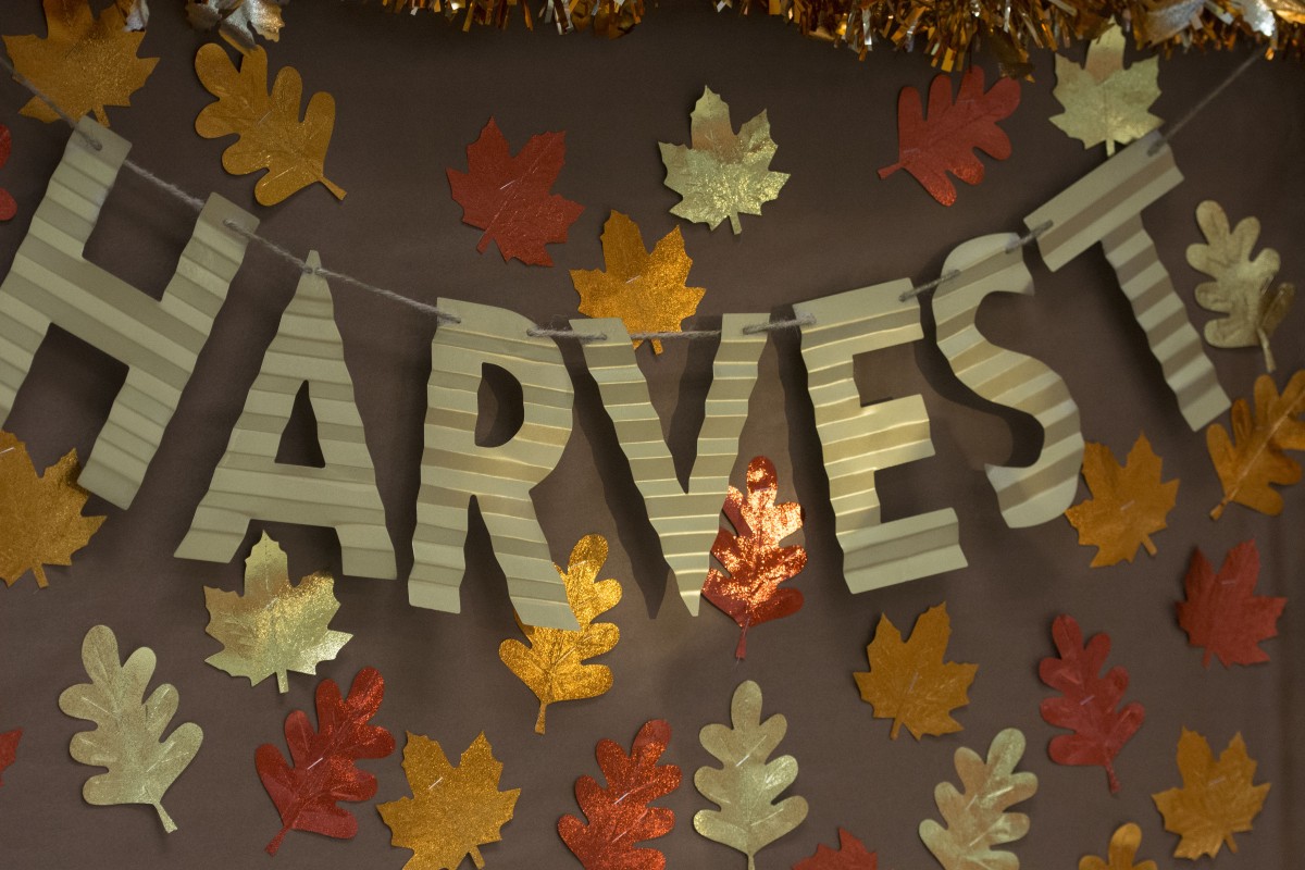 Fall Fest | Article | The United States Army