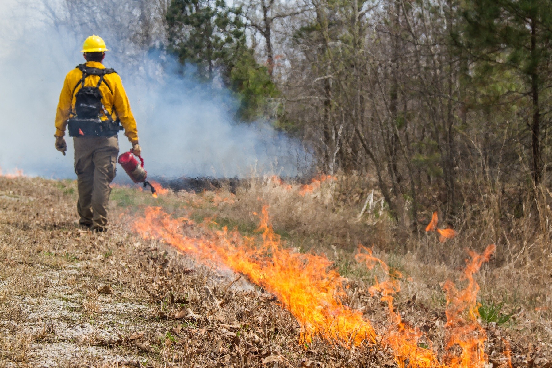 Using fire to sustain the ecosystem | Article | The United States Army