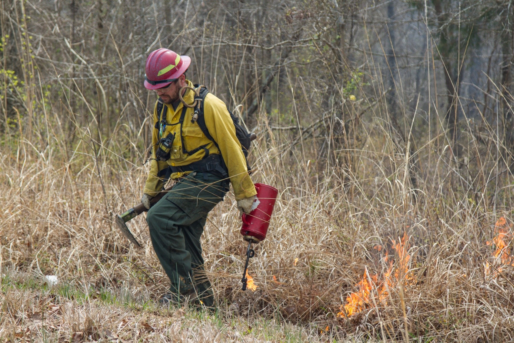 Using fire to sustain the ecosystem | Article | The United States Army