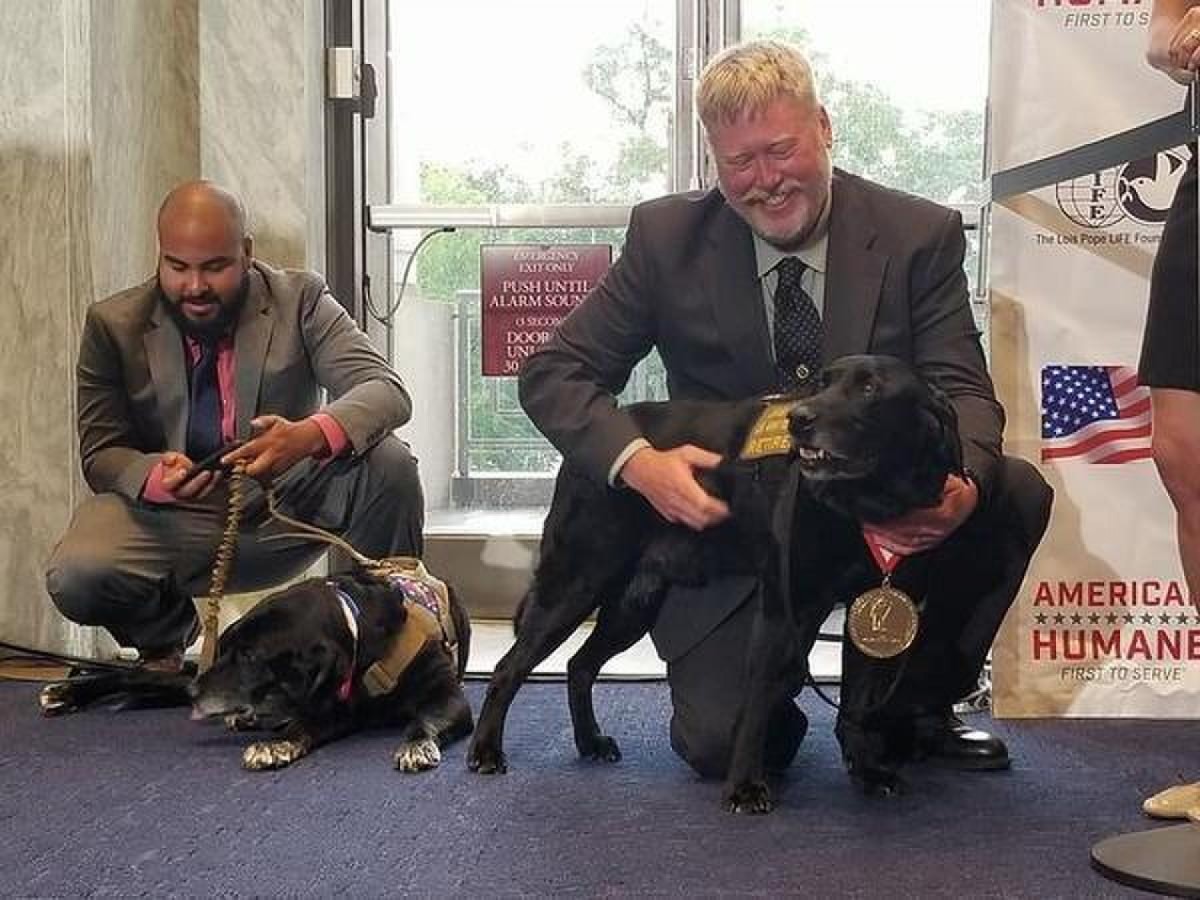 Retired military working dog honored for his Army service | Article ... Retired military working dog honored for his Army service | Article ...