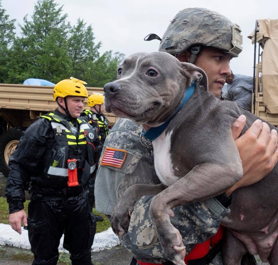 US Army Soldiers continue hurricane response operations in North and ...