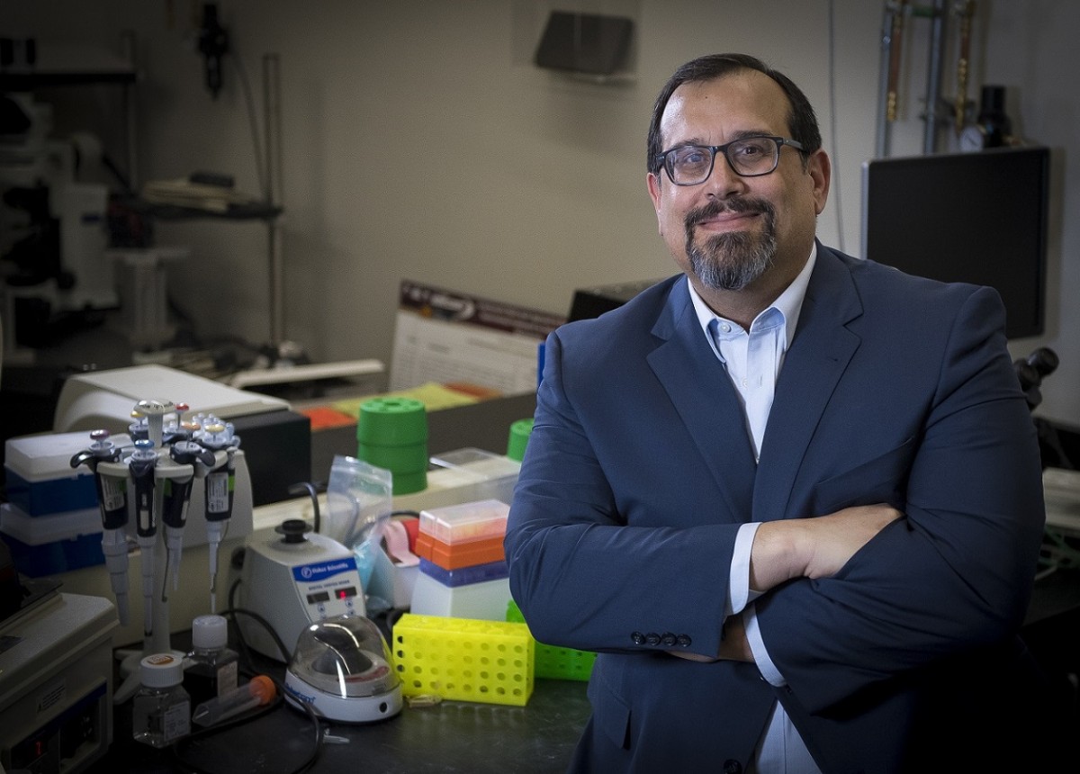 ARL's research with a difference | Article | The United States Army