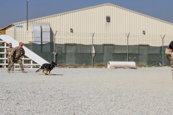 AMK9 and Mad Dog Kennels Sink their Teeth Into Obedience, Agility and ...