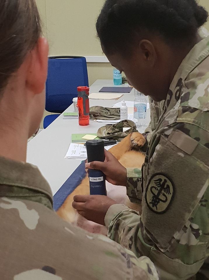 PHA-I animal care specialists brush up on skills | Article | The United ...