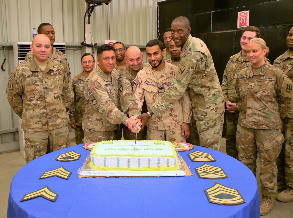 Air Defense Artillery unit builds bonds with Emirati partners | Article ...