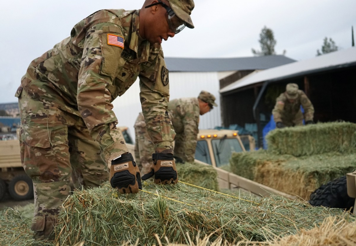 Bringing hope to Paradise, by the truckload | Article | The United ...