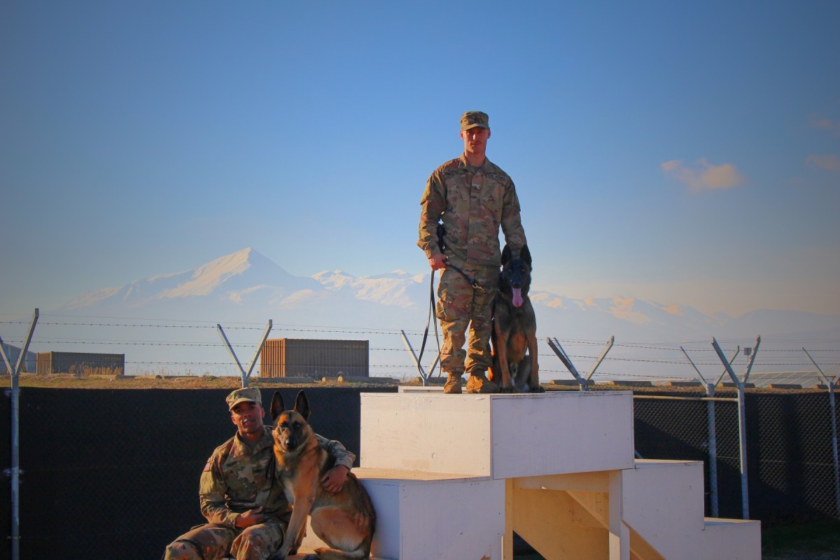 Soldiers support regional operations as canine ambassadors | Article ...