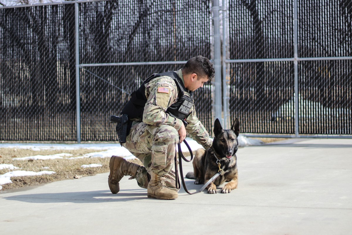 Fort Riley's four-legged heroes | Article | The United States Army