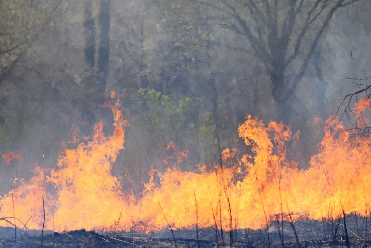 Burning part of ensuring healthy prairie | Article | The United States Army