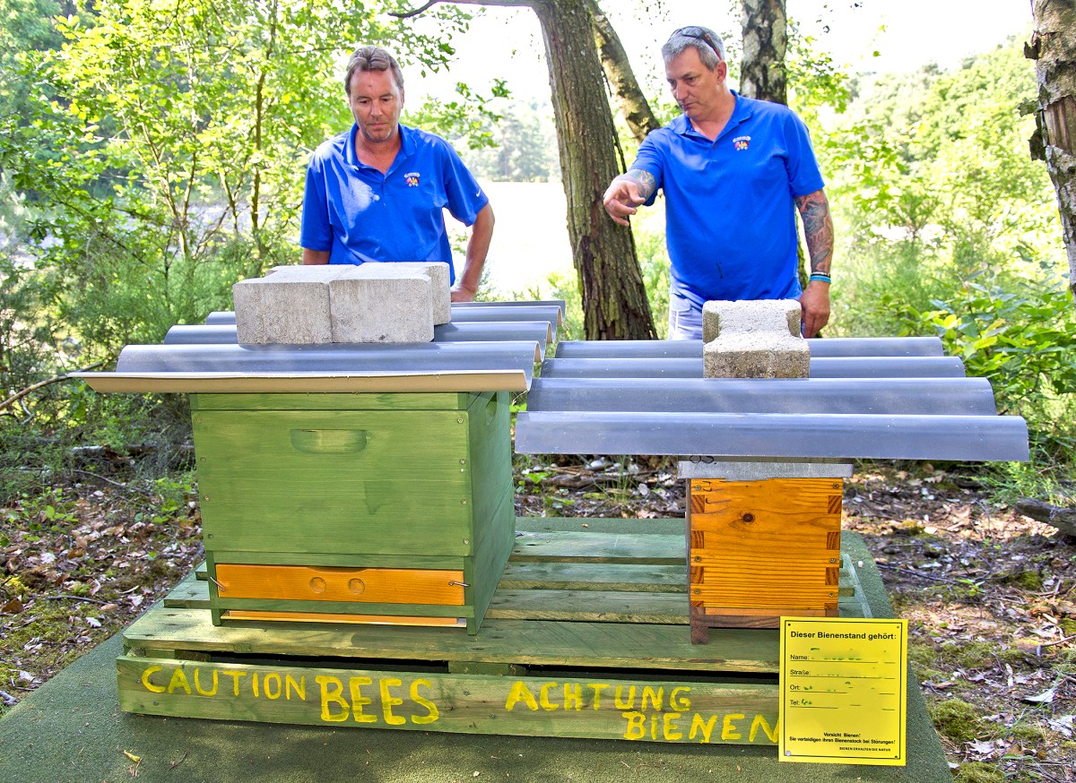 Teaming up to 'bee' good neighbors: German-American project helps ...
