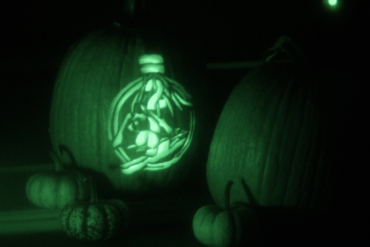 Pando Commando Halloween | Article | The United States Army
