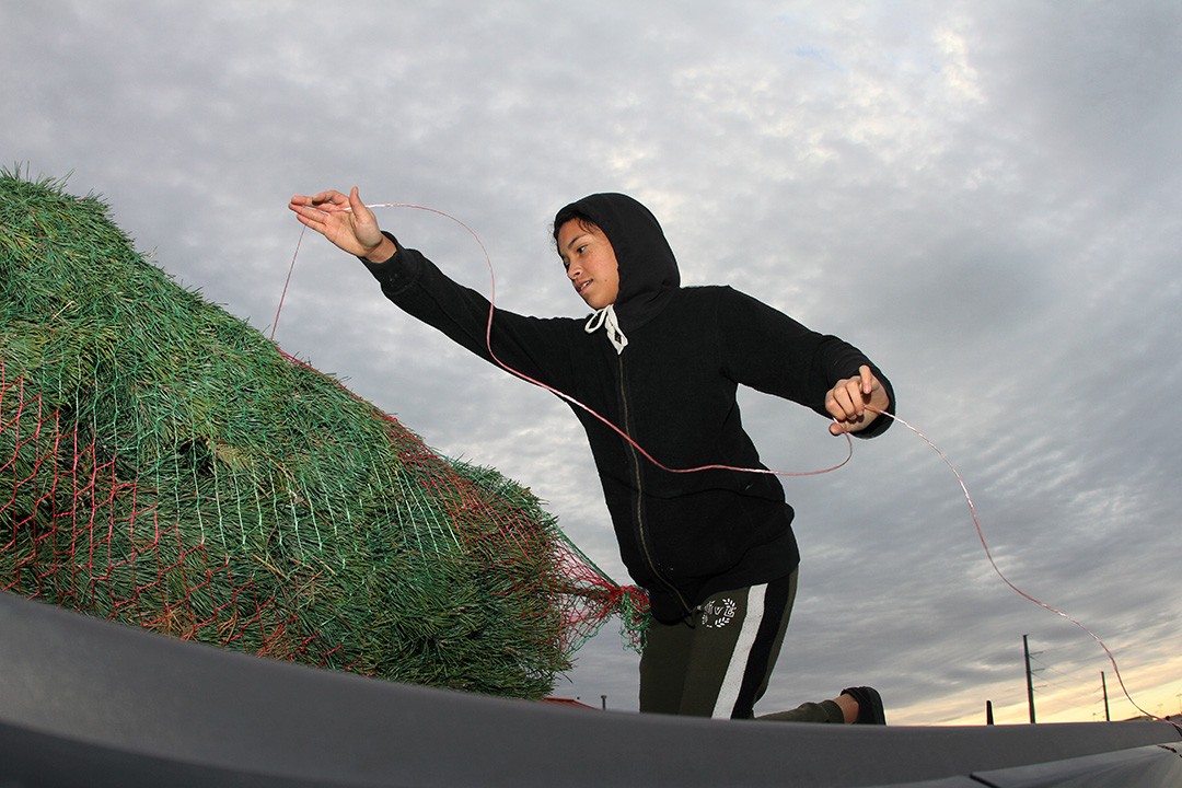 Fort Sill holds 12th Annual Trees for Troops giveaway | Article | The ...