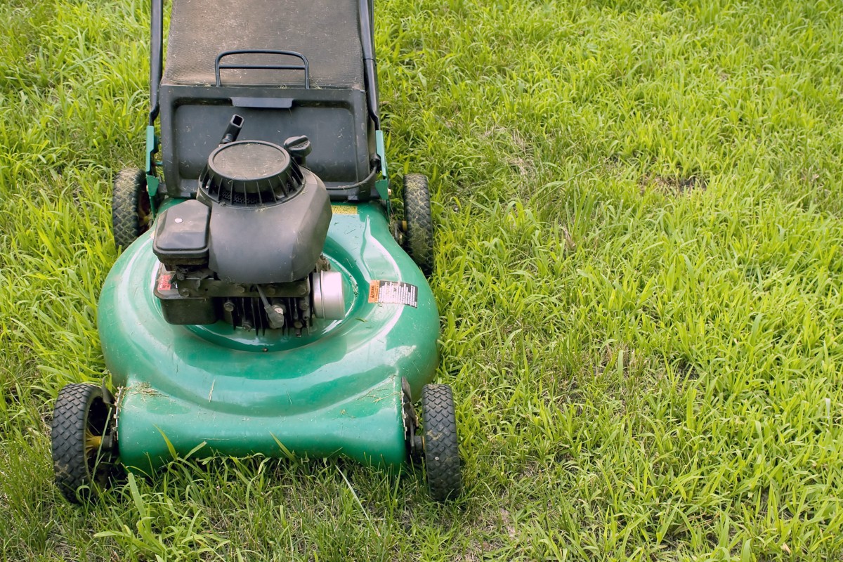 Start preparing now for greener grass, fewer weeds | Article | The ...