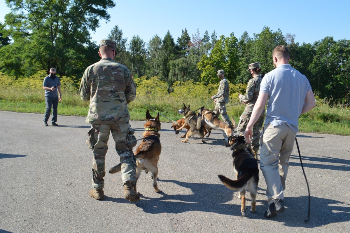MWD, handlers receive conflict management training | Article | The ...