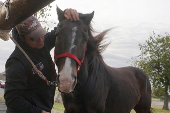 Horse Sonny's disposition adds to Fort Sill Artillery Half Section team ...